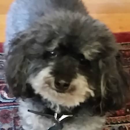 Chappy & Friends | Provides Sponsorship to Ignite Animal Welfare Projects