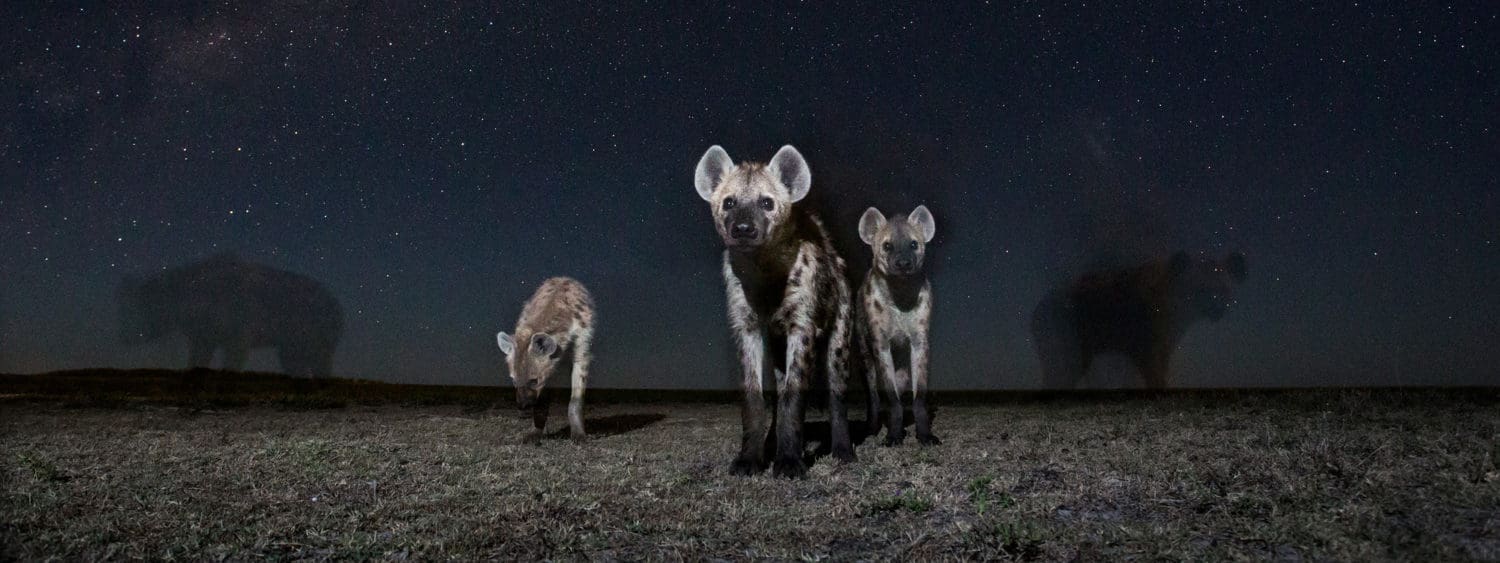 Get In Touch With Chappy & Friends