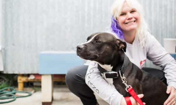 Projects Archive - Chappy & Friends