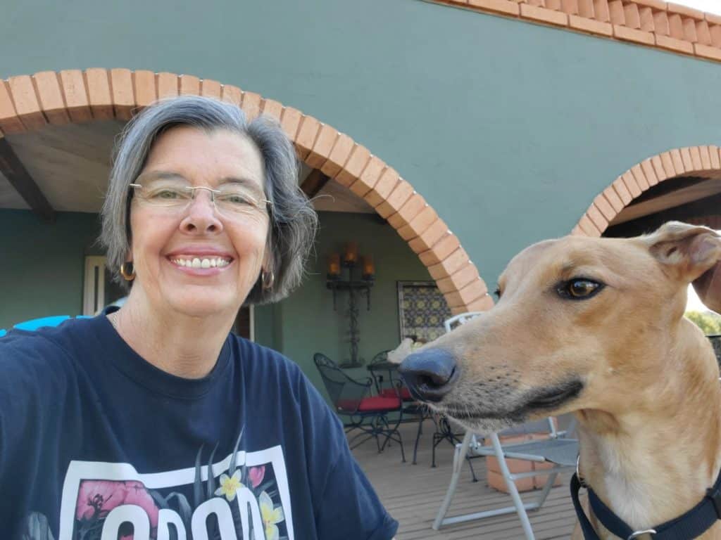 Race to the Rescue - Chappy & Friends