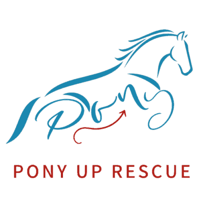 Pony Up Rescue Collective - Chappy & Friends