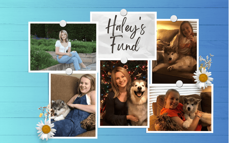 Haley's Fund of Danada Veterinary Hospital - Chappy & Friends
